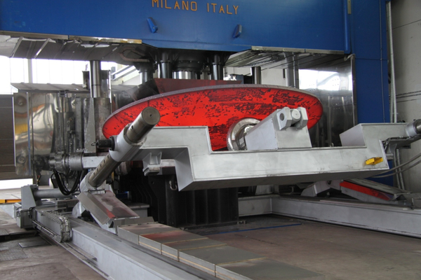 Convex disc - Van den Anker